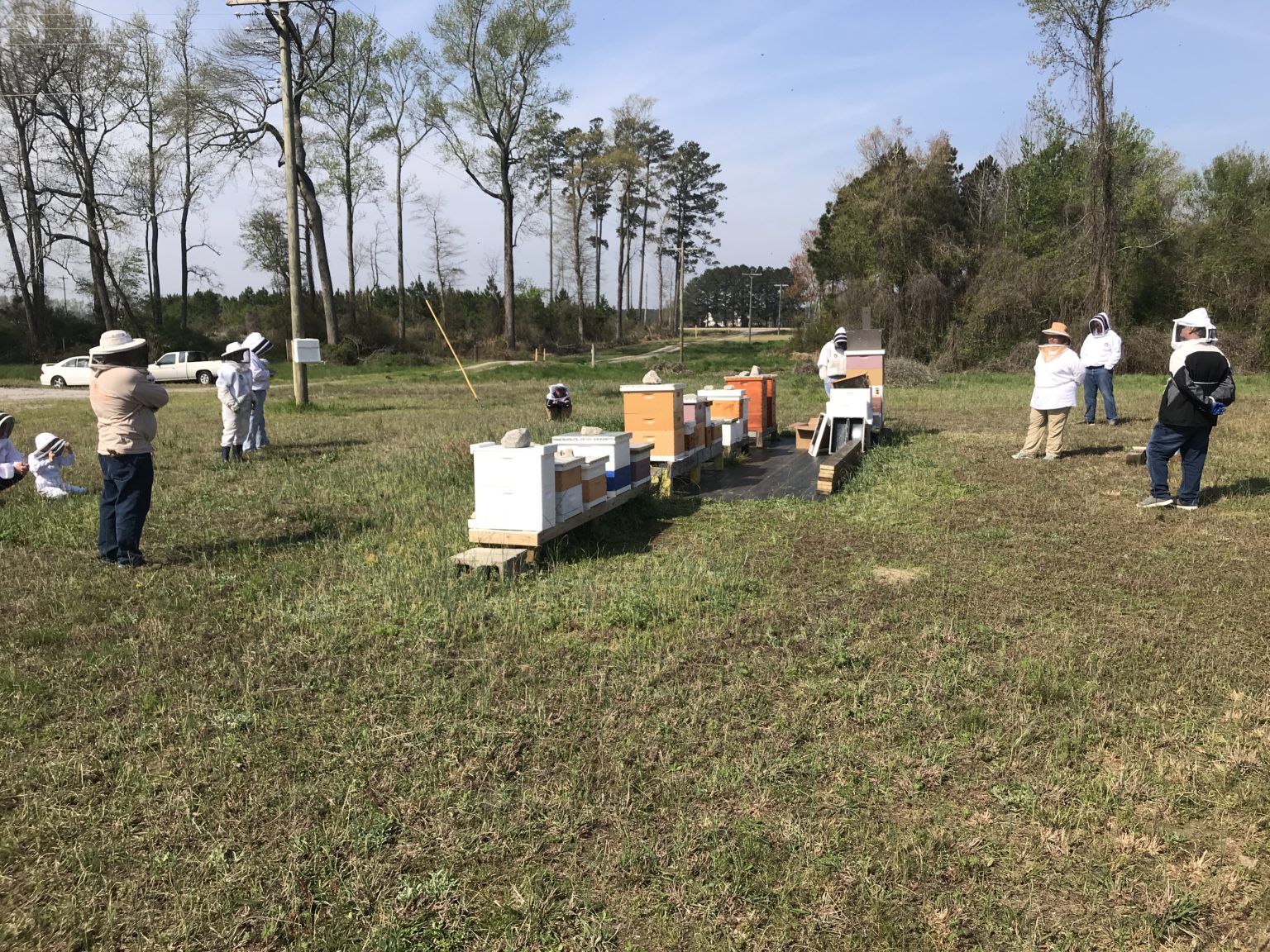 2025 Beginner Beekeeping School | Wilson County Beekeepers Association